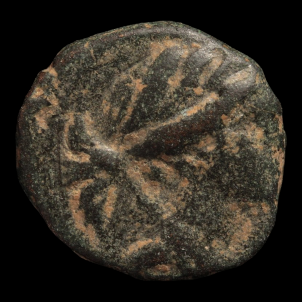 Seleucids, Seleucus III Bronze - 226 to 222 BCE - Seleucid Empire ...