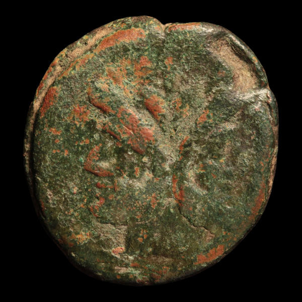 Roman Republic, Large Bronze As, Janus & Ship - 225 to 39 BCE - Roman ...