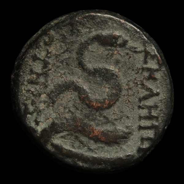 City of Pergamum, Mysia, Bronze Unit - 133 to 67 BCE - Greek World ...