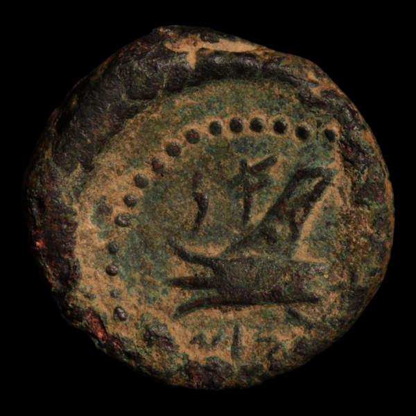 Arados, Phoenicia, Bronze Unit (Zeus & Prow) - c. 200 to 100 BCE - Gre ...