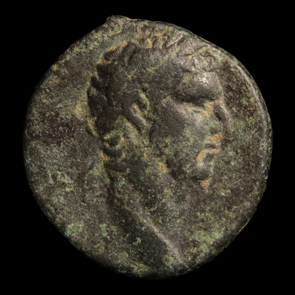 Roman Syria, Emperor Nerva, Large Bronze, "SC" on Reverse - c. 96 to 9 ...
