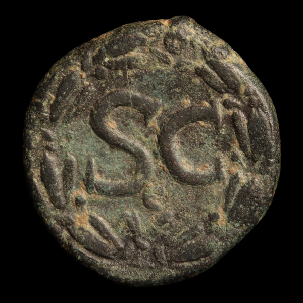 Roman Syria, Emperor Nerva, Large Bronze, "SC" on Reverse - c. 96 to 9 ...