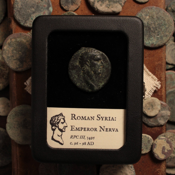 Roman Syria, Emperor Nerva, Large Bronze, "SC" on Reverse - c. 96 to 9 ...