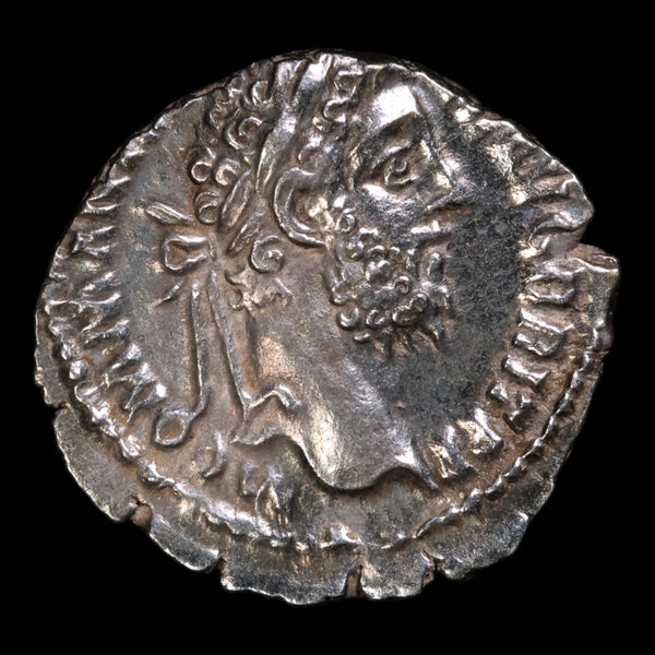 Rome, Emperor Commodus, AR Denarius, Securitas (Goddess of Security ...