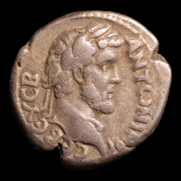 August 21st: Greek & Roman Coins XII - History Hoard
