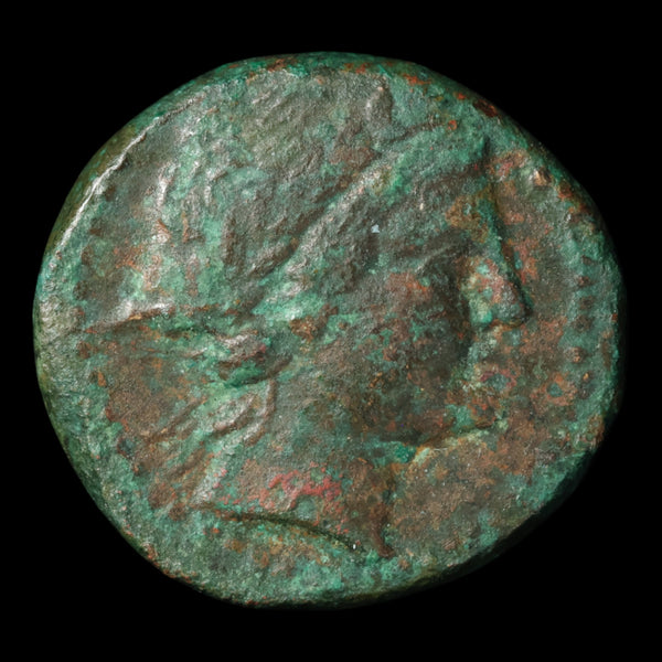 Bruttium, City of Petelia, Bronze Unit (Apollo) - 214 to 204 BCE - Gre ...