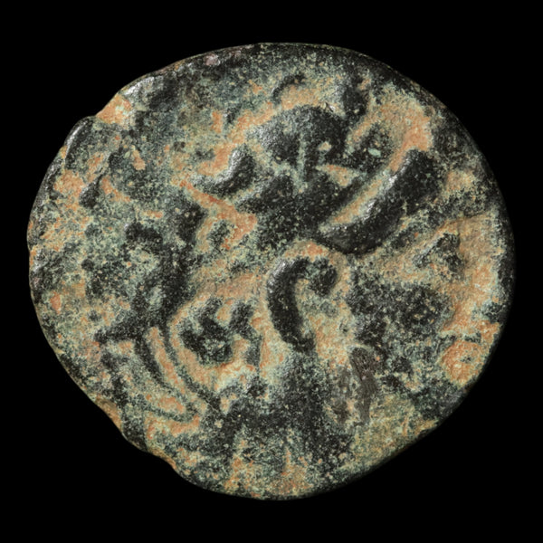 Seleucid Empire, King Antiochus IX, Bronze Unit - 114 to 95 BCE - Gree ...