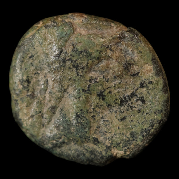 Kingdom of Armenia, King Tigranes the Great, Bronze Unit With Grain ...