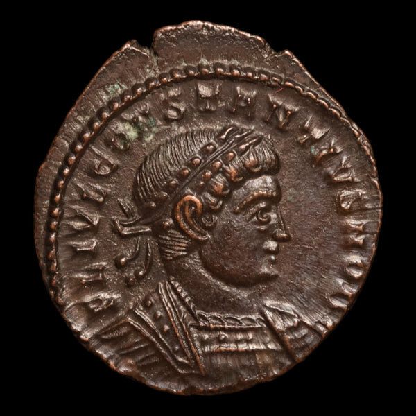 Rome, Emperor Constantius II, AE Nummus, Two Soldiers Reverse - 333 to ...