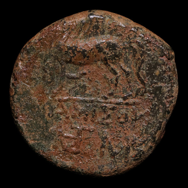 Pontus, City of Amisos, AE Unit, Perseus & Pegasus - 120 to 63 BCE - G ...