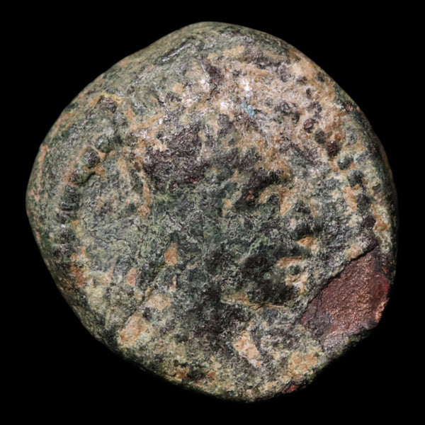 September 17th: Greek & Roman Coins XXXVII - History Hoard