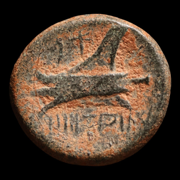 Phoenicia, City of Arados, Bronze Unit (Zeus) - c. 200 to 100 BCE - Gr ...