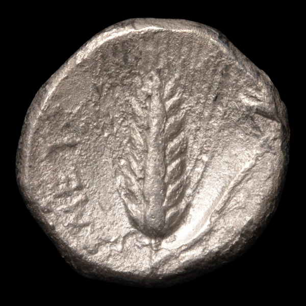 Metapontum, Greek Didrachm, Demeter & Barley - c. 330 to 280 BCE - Mag ...