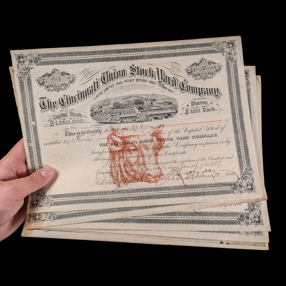 Cincinnati Union Stock Yard Co. Stock Certificate - 1880's - Meatpacki ...
