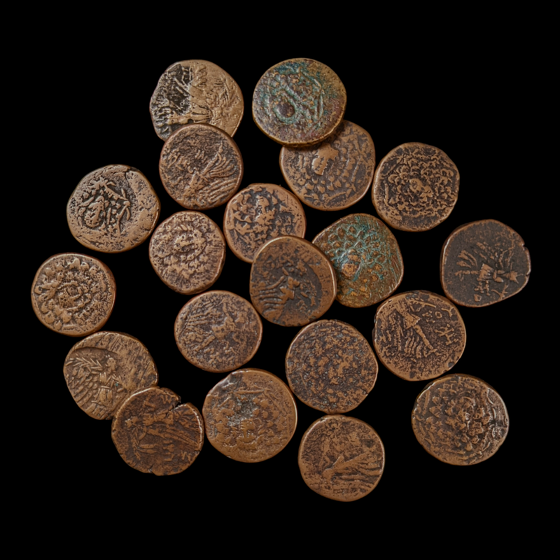 Gorgon (Medusa) Coin, Amisos - 85 to 65 BCE - Greek (Pontus) - History ...